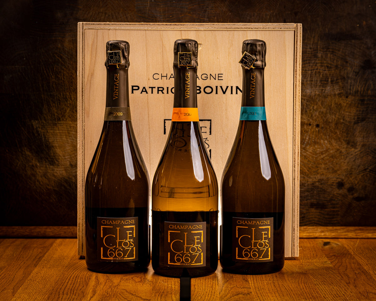 Patrick Boivin – House of Moes